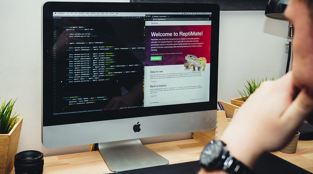 How to Develop UIs Faster in ReactJS? A Guide